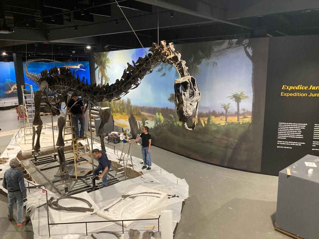 Authentic Dinosaur Skeletons - THÉTIS